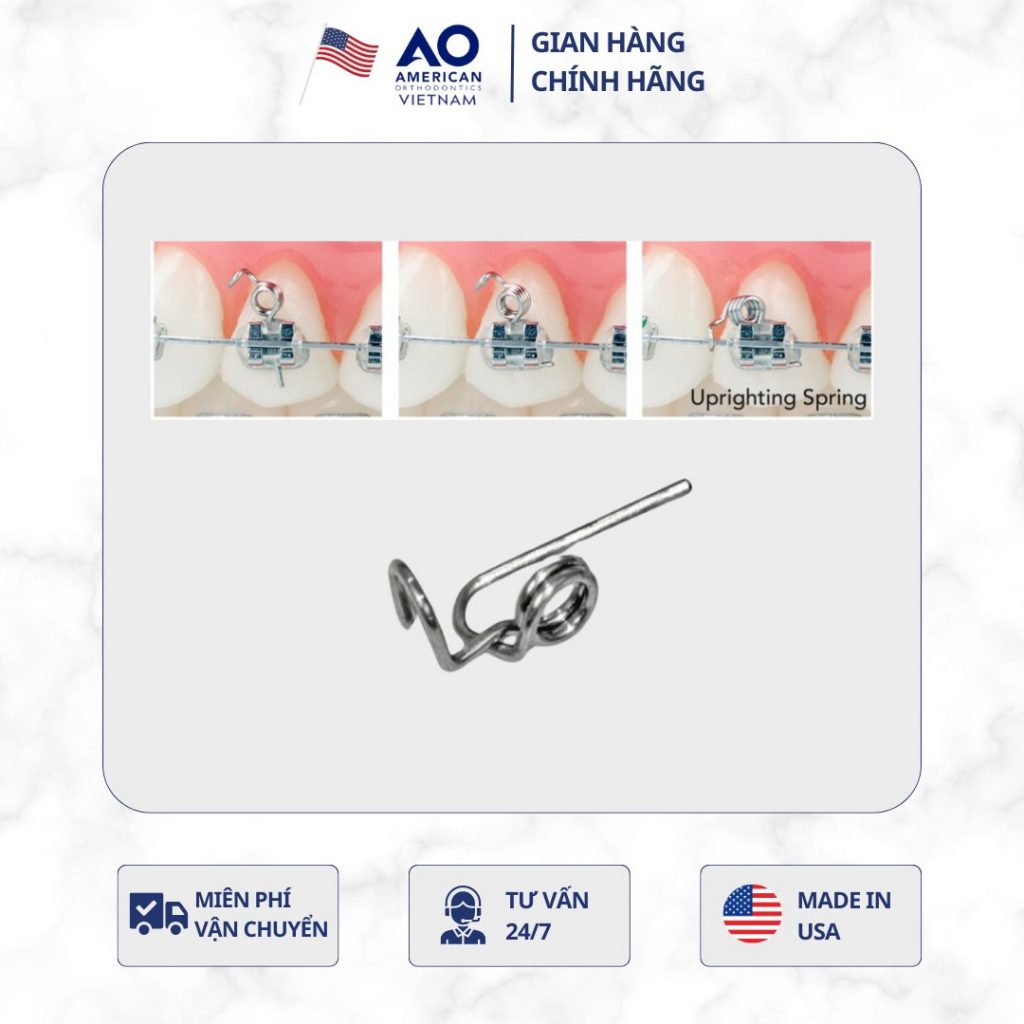 Lò xo dựng trục Uprighting Spring with safety hold – Vật Liệu Chỉnh Nha ...