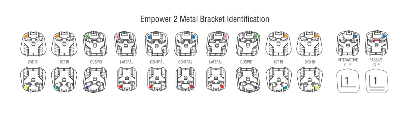 Mắc cài kim loại tự buộc EMPOWER 2 (20 chiếc/bộ) – Vật Liệu Chỉnh Nha ...